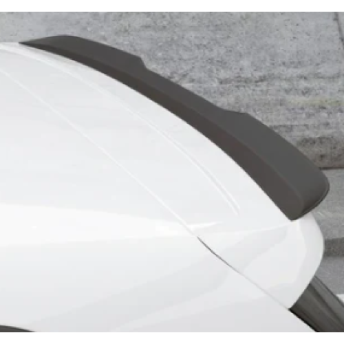 Polo 6 Max winglet